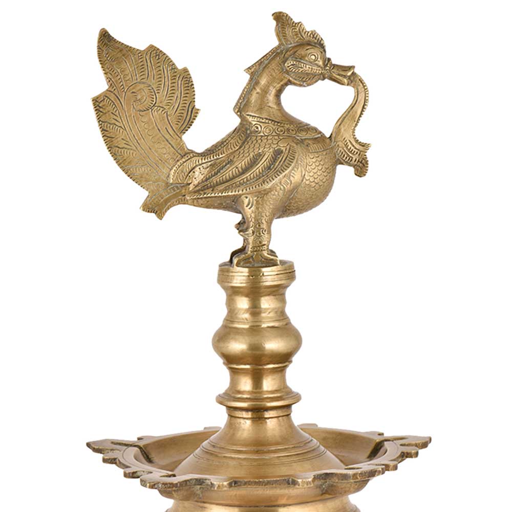 Brass Peacock Oil Diya Inauguration Lamp for Temples